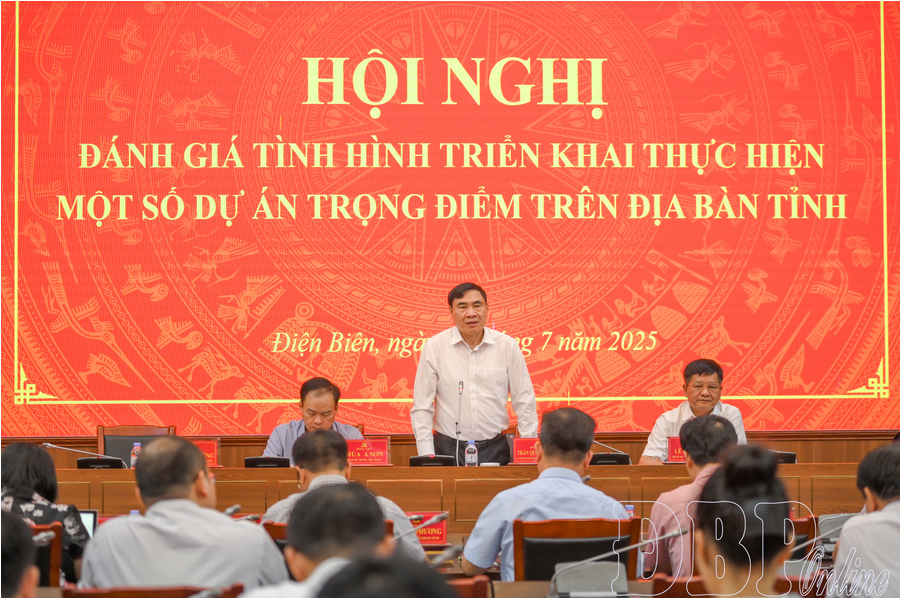 Đánh giá tình hình triển khai thực hiện một số dự án trọng điểm - Đài Phát thanh và Truyền hình ...